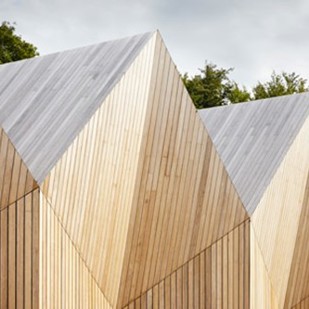 Award winning geometric cladding, Alfriston School